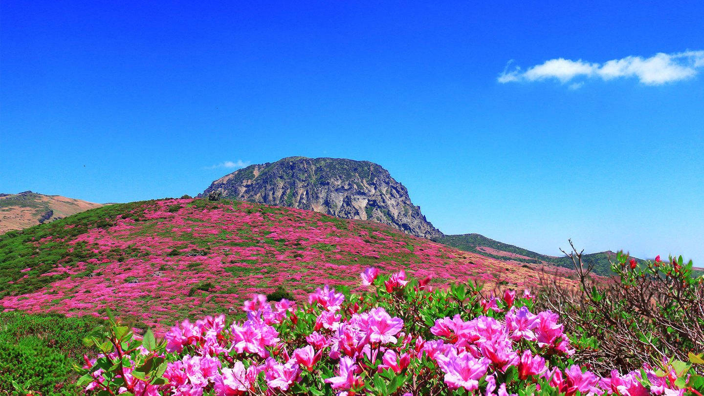 An Insider’s Guide to Jeju Island, South Korea’s “Island of the Gods ...